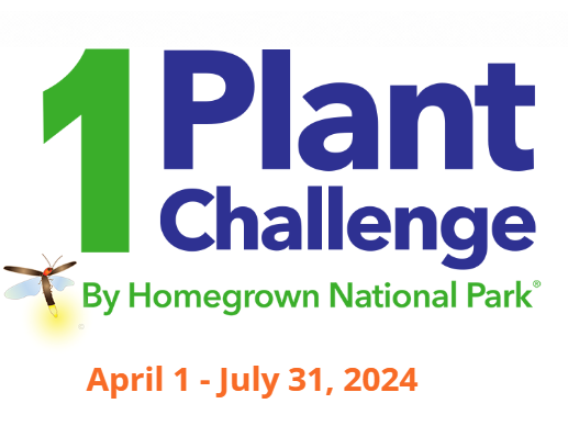 The 1 Plant Challenge – Go Wildscaping